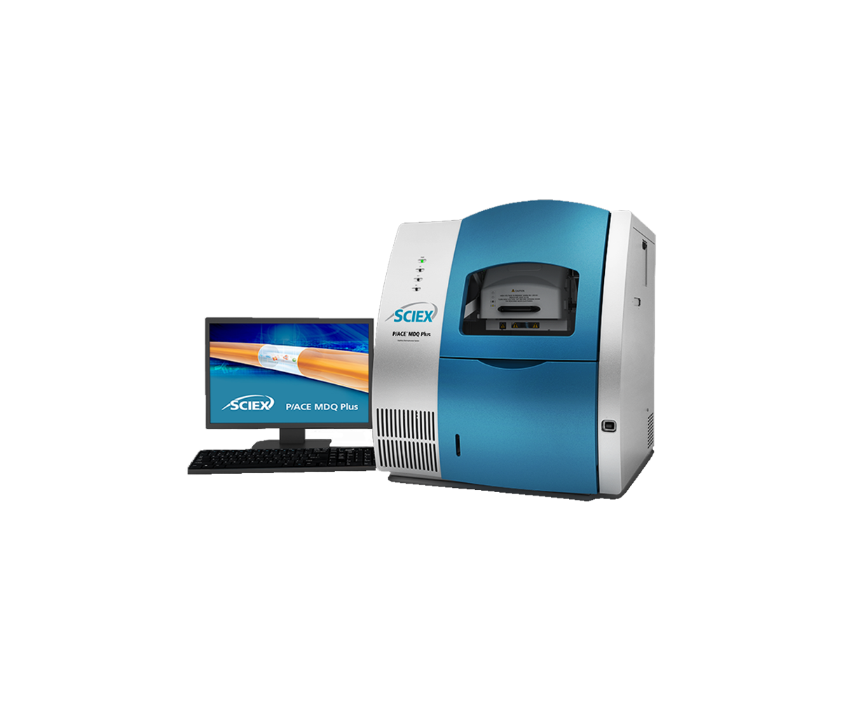 Capillary Electrophoresis